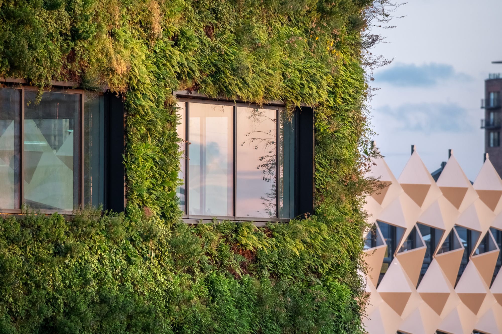 Explore Eden - Eden Manchester